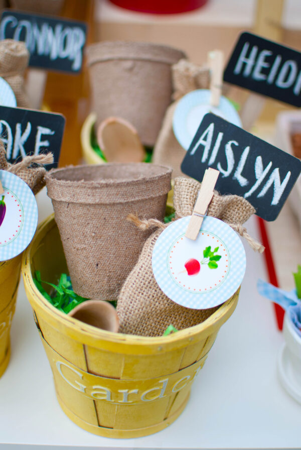 A Garden Party - TWINKLE TWINKLE LITTLE PARTY