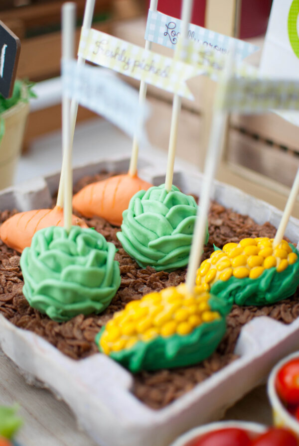 A Garden Party - TWINKLE TWINKLE LITTLE PARTY