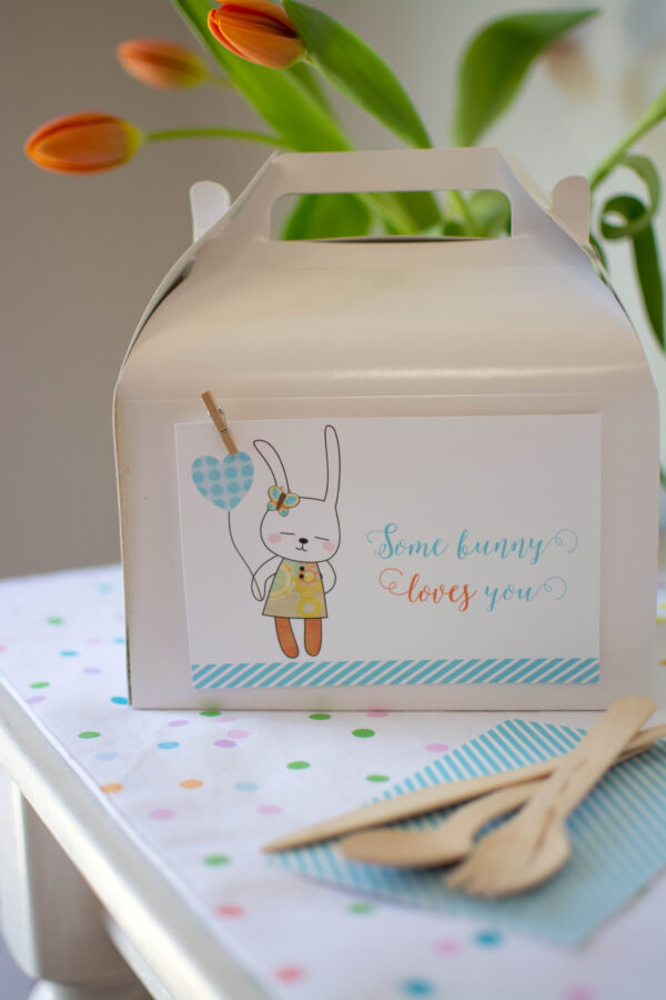 'Some Bunny Loves You' Collection - TWINKLE TWINKLE LITTLE PARTY