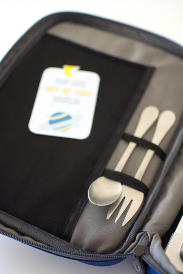 PlanetBox - The Eco-friendly Bento Lunchbox - TWINKLE TWINKLE LITTLE PARTY