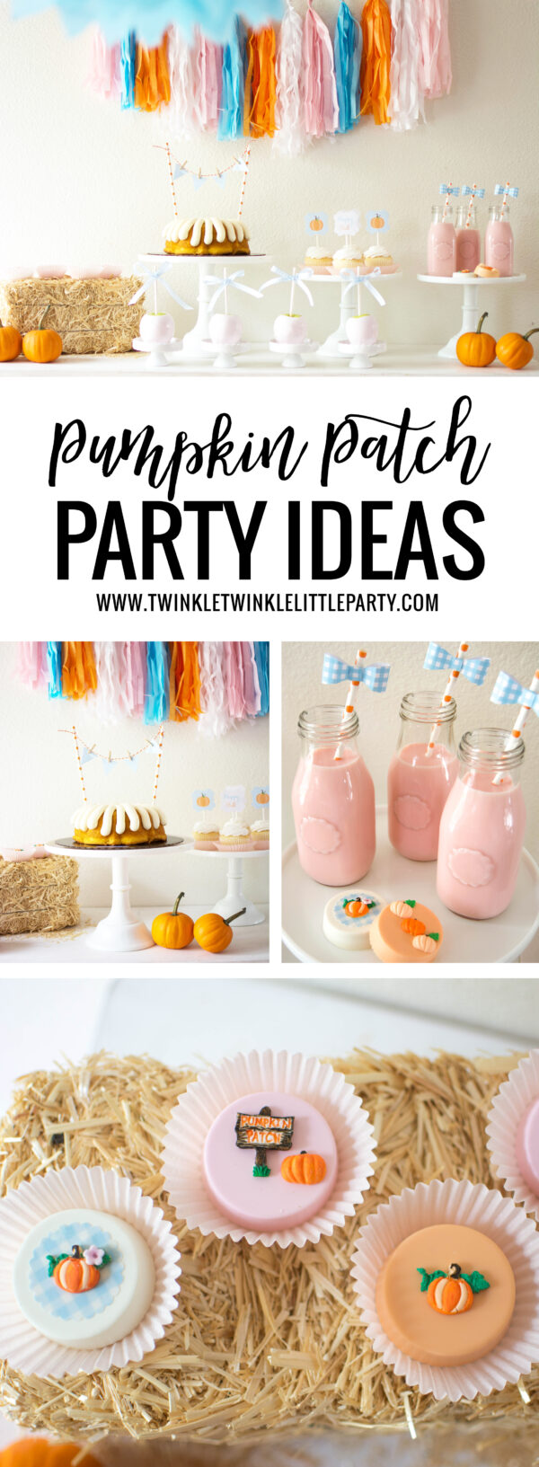 Host an Adorable Pumpkin Patch Party this Fall Season