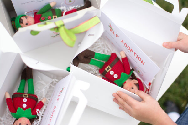Host an Adopt an Elf on the shelf Party