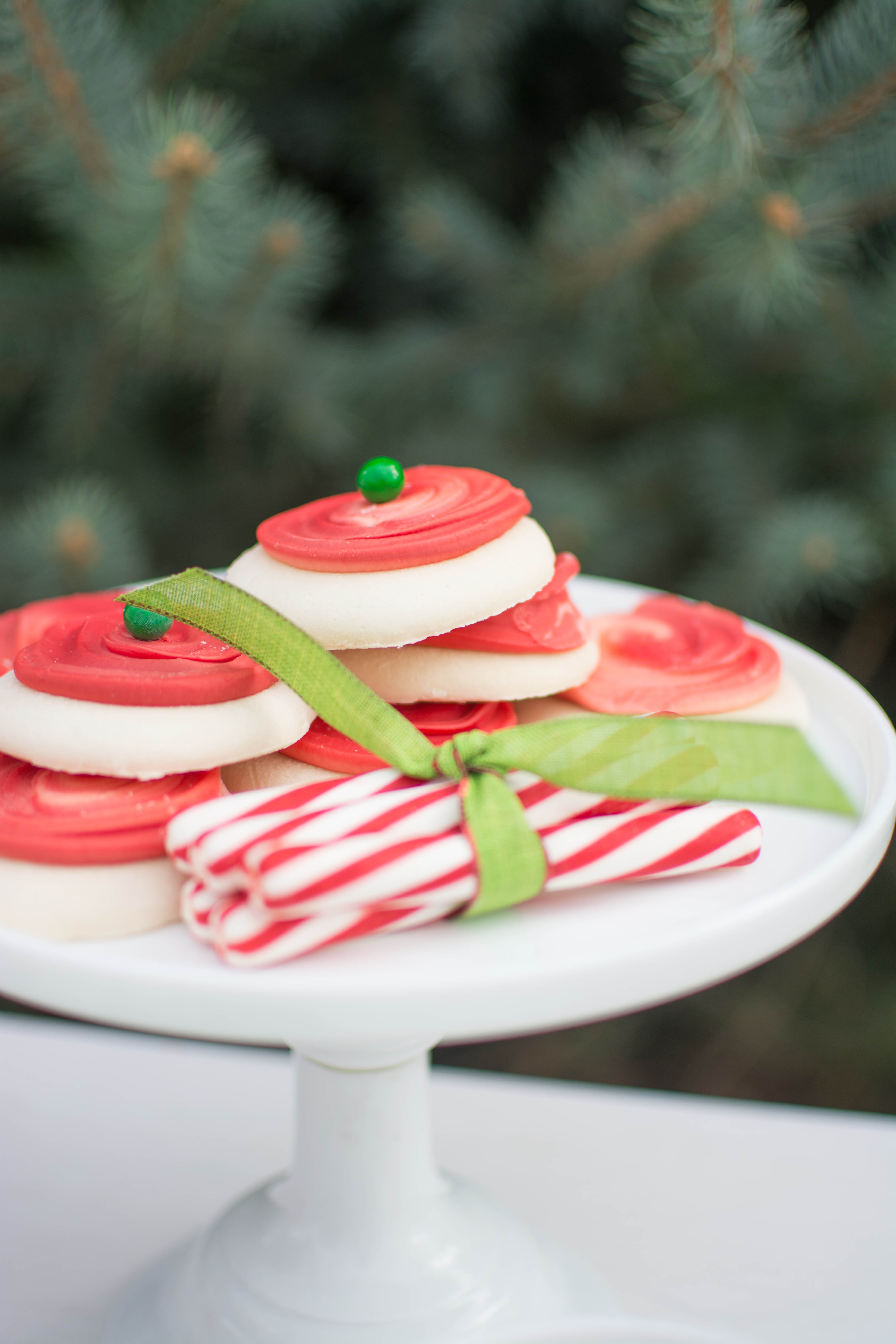 Host an Adopt an Elf on the shelf Party