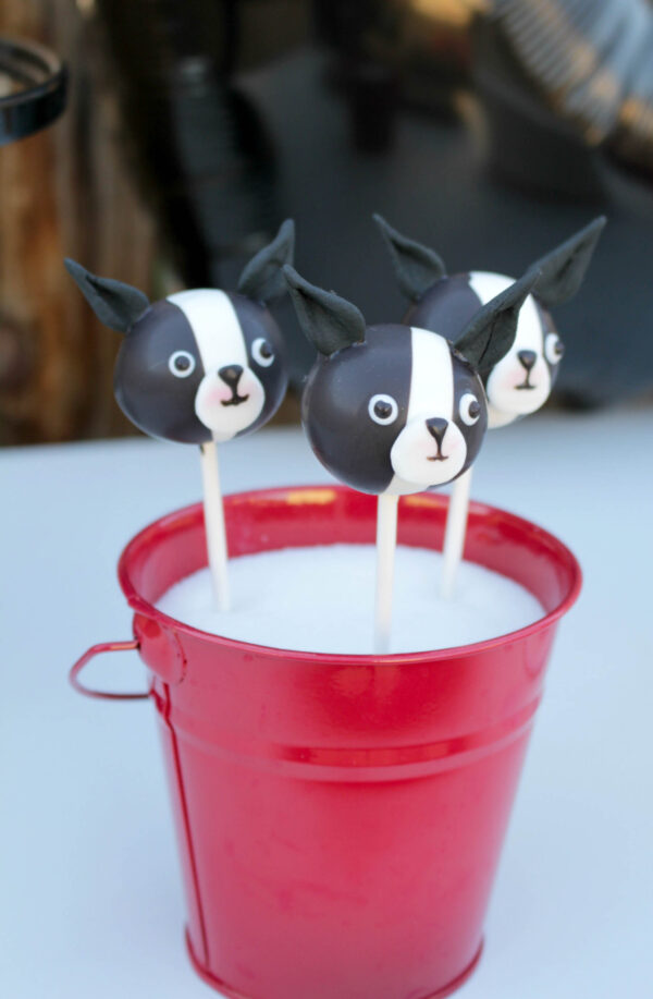 Adorable Frenchie Pawty Ideas