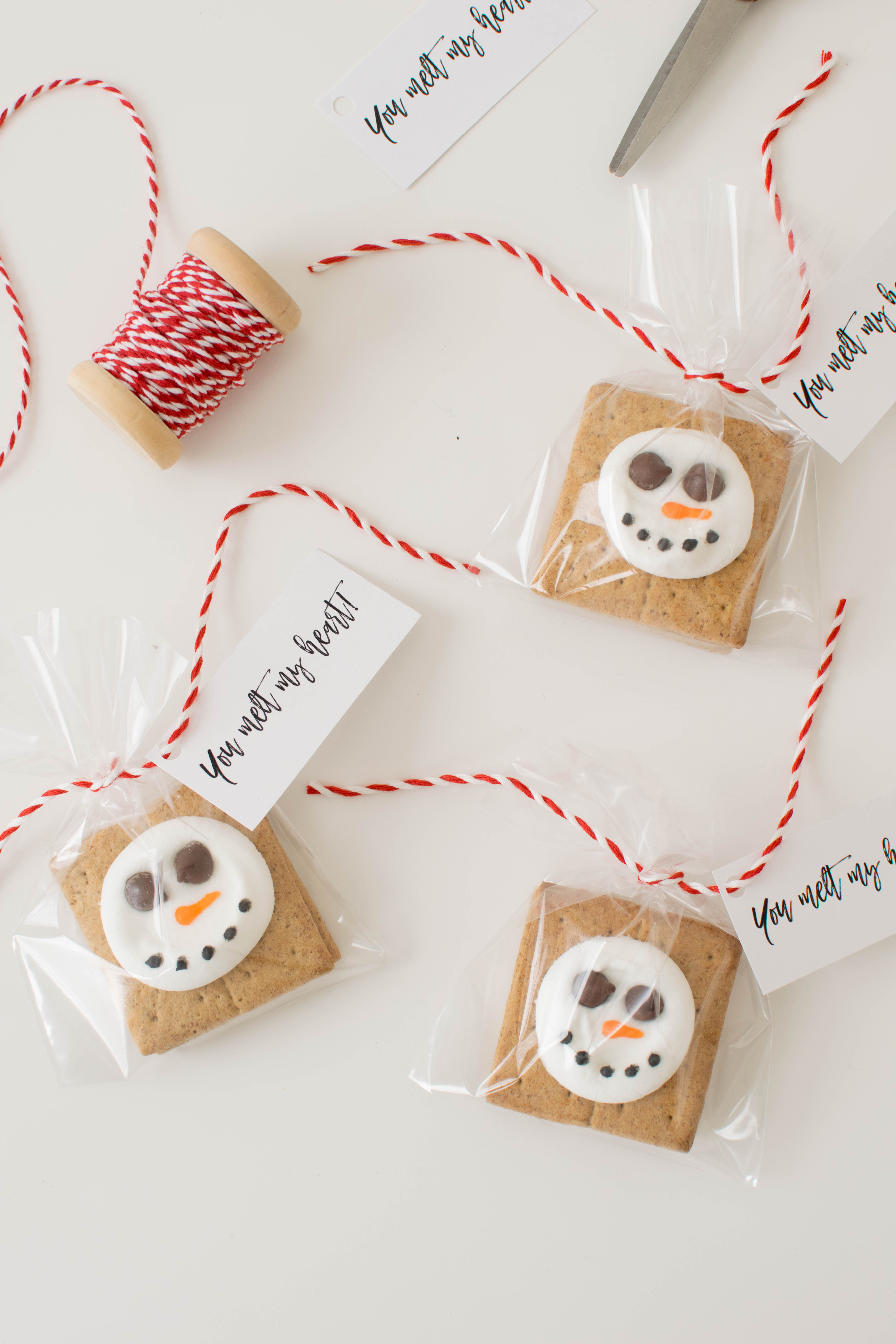 DIY Snowman S'mores Holiday Gift Idea + Free Tags