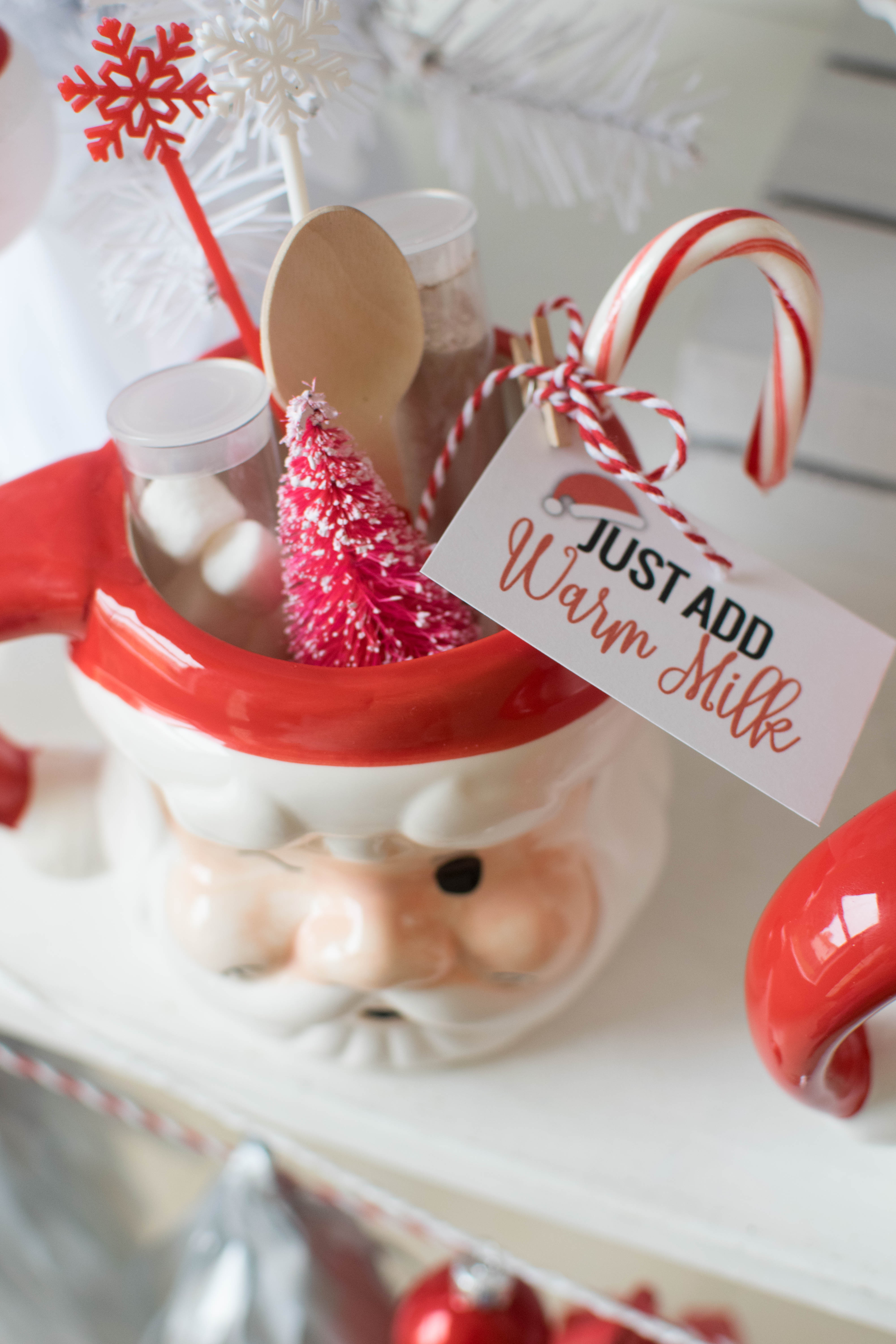 Holiday Hostess Gift Idea: Santa Mug Hot Cocoa Kit
