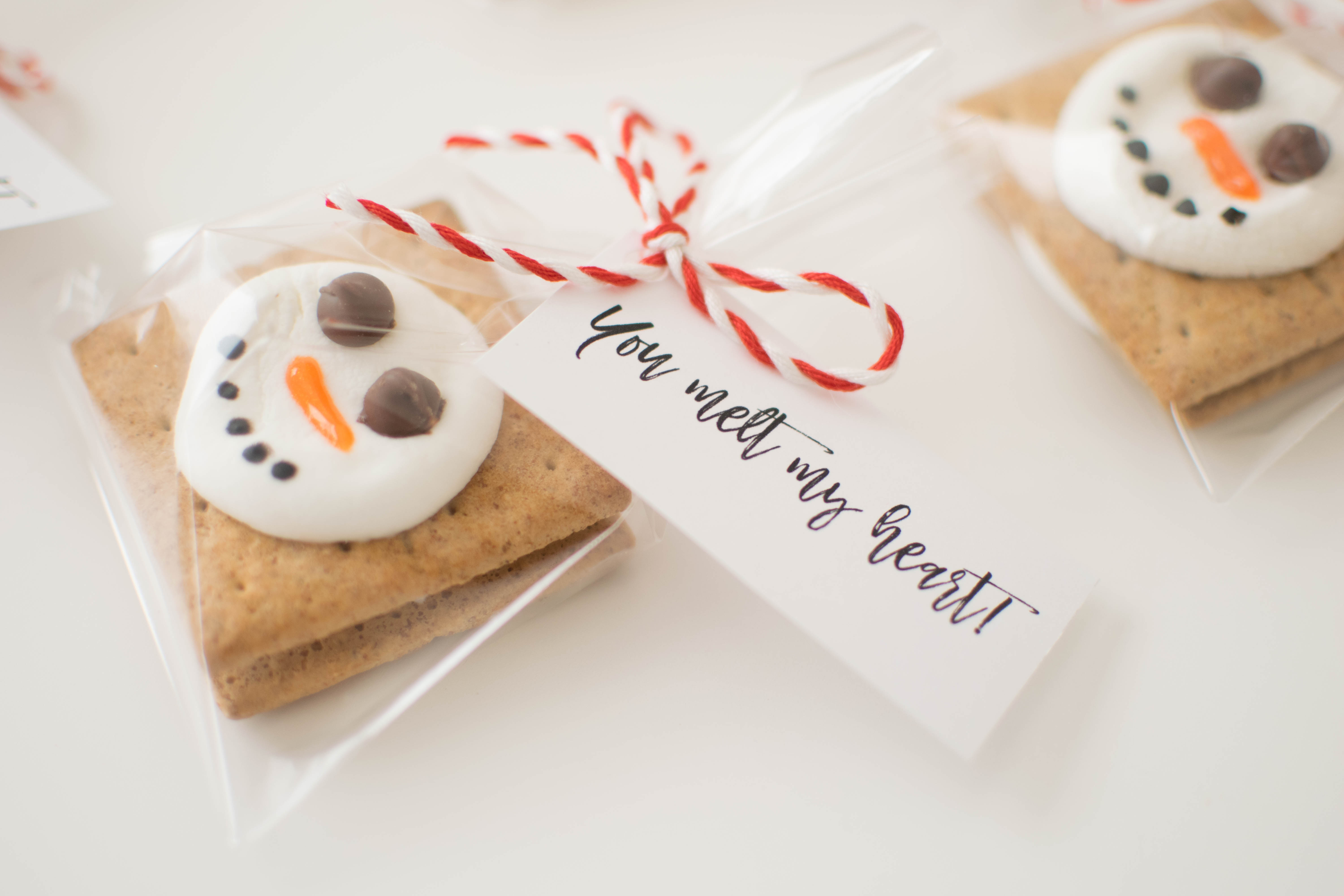 DIY Snowman S'mores Holiday Gift Idea + Free Tags