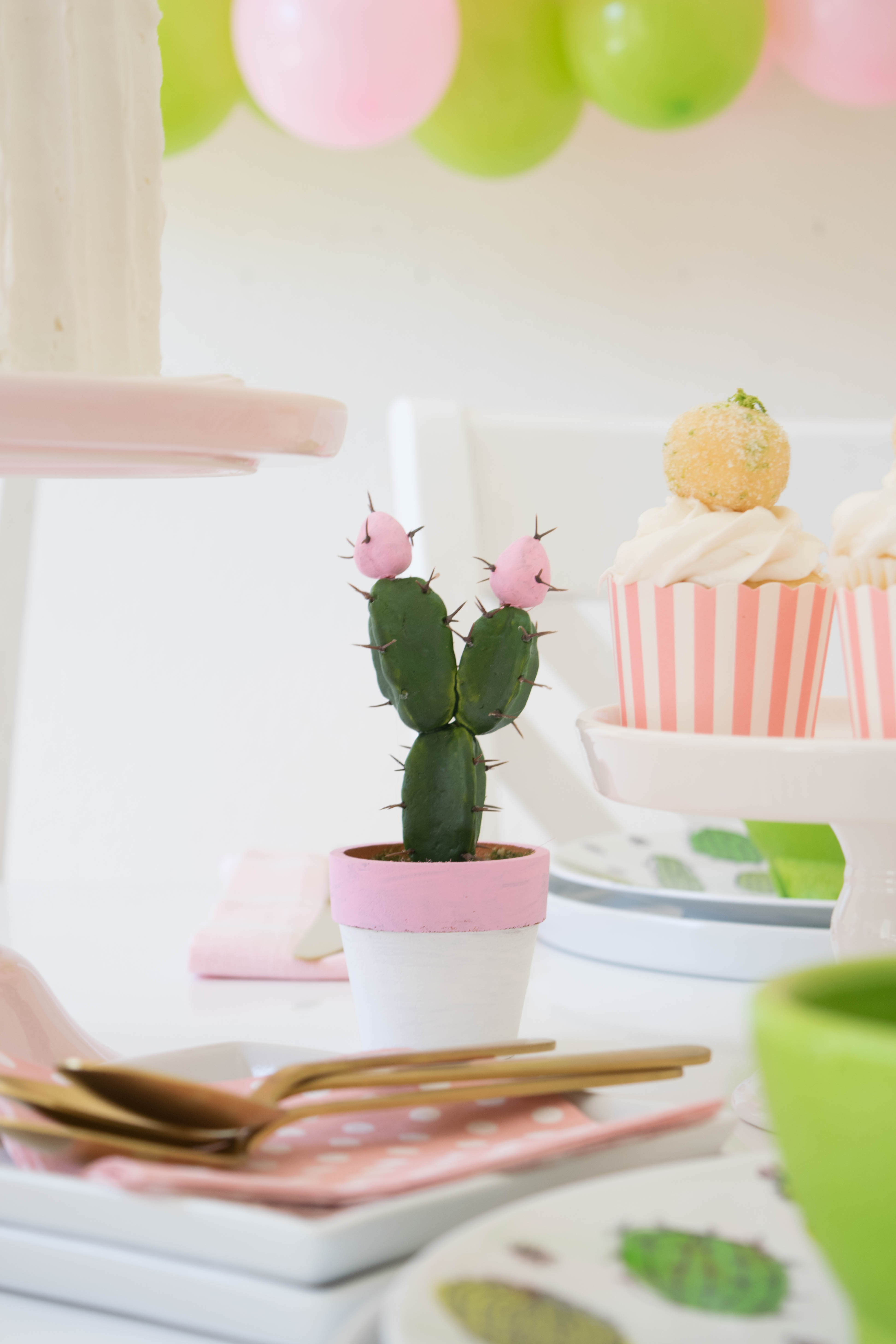 Throw a Cactus Fiesta Party to celebrate Cinco de Mayo