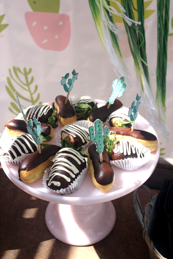 How to host a Succulent & Cactus Planting Party