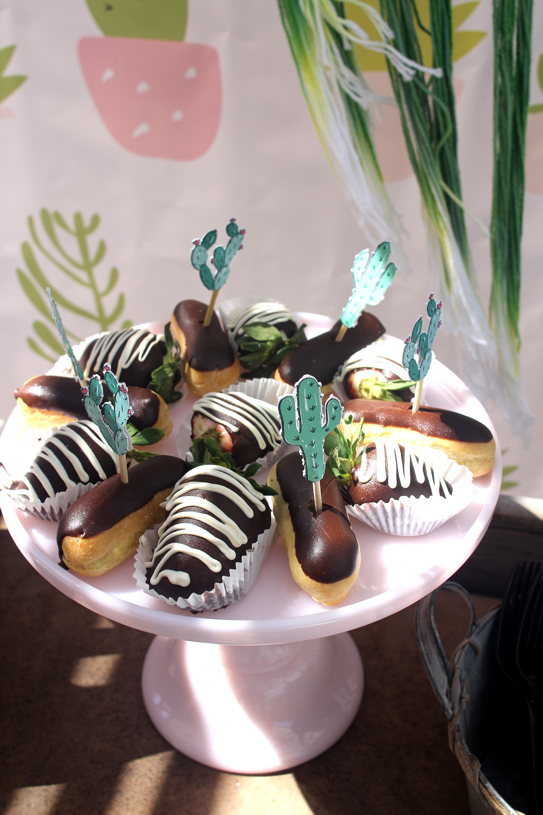 How to host a Succulent & Cactus Planting Party