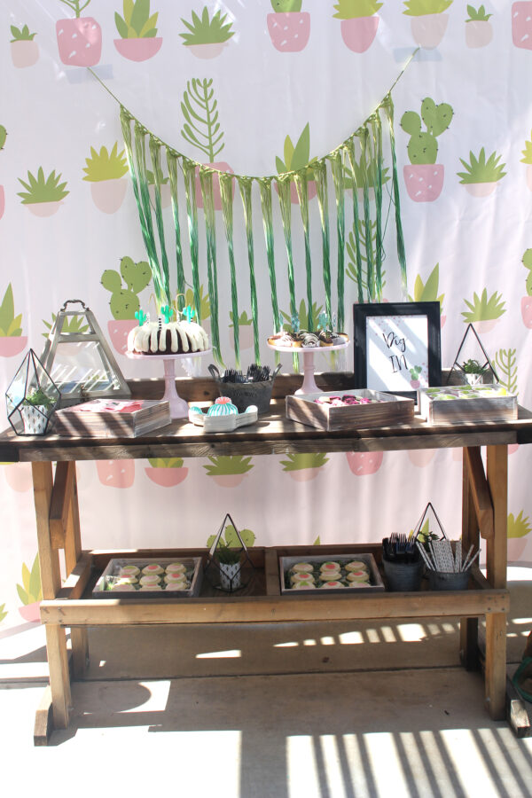 How to host a Succulent & Cactus Planting Party