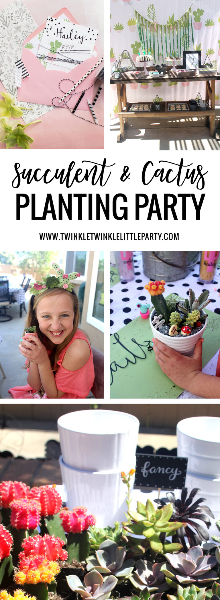 How to host a Succulent & Cactus Planting Party