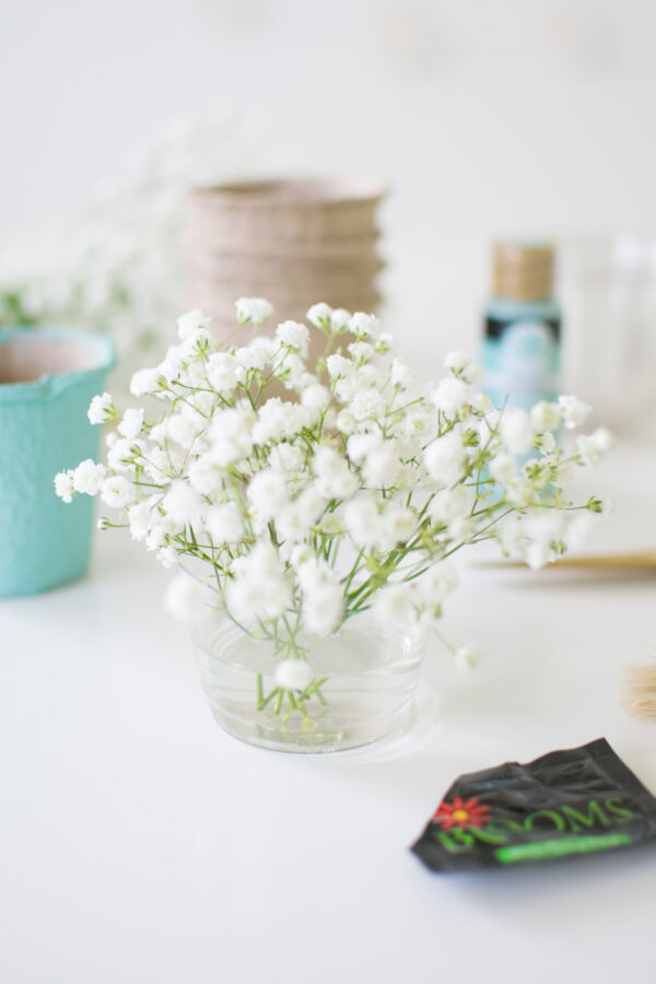 DIY Mini Flower Pots