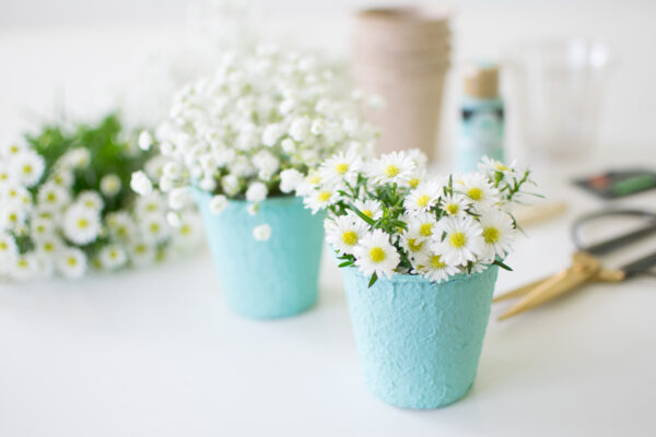 DIY Mini Flower Pots