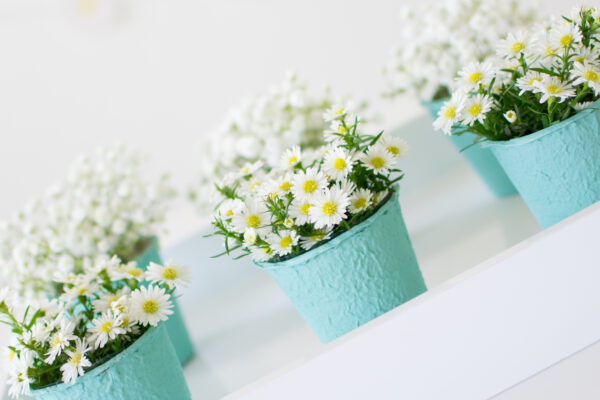 DIY Mini Flower Pots