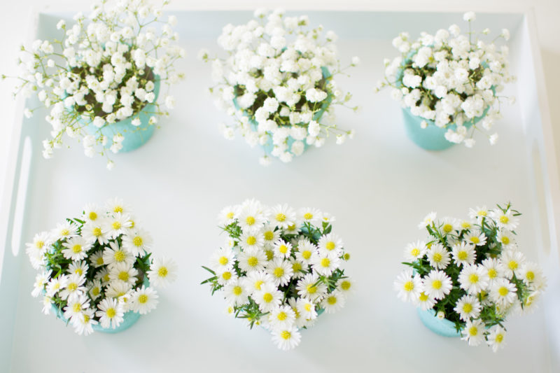 DIY Mini Flower Pots