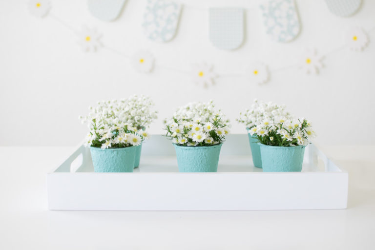 DIY Mini Flower Pots